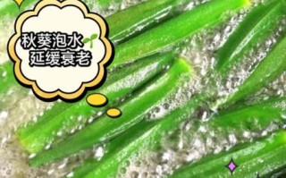 秋葵泡水喝有什么好处_秋葵干片泡水功效与禁忌