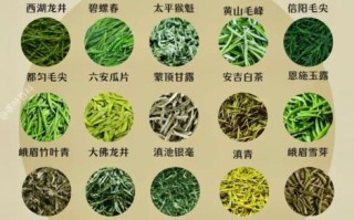 绿茶有哪些品种_绿茶哪个品种好喝