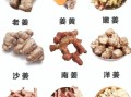 良姜图片功效与作用_良姜和生姜的区别