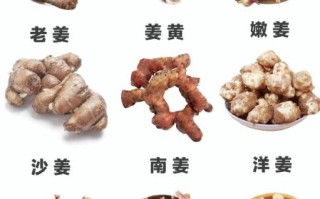 良姜图片功效与作用_良姜和生姜的区别