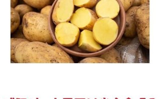 7日土豆减肥法能瘦几斤_一周土豆减肥真实效果