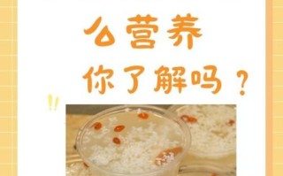 醪糟的功效与作用_醪糟的营养价值有哪些