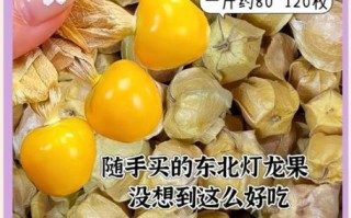 灯笼果可以直接吃吗_灯笼果怎么吃才安全
