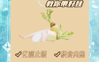 绿萝卜汤的功效与作用_绿萝卜汤可以天天喝吗
