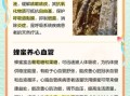 长期喝蜂蜜好吗_长期喝蜂蜜的副作用