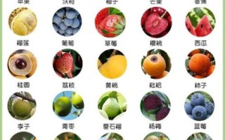 水果营养排名前十名_哪些水果最健康