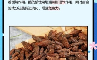 醋香附的功效与作用_醋香附怎么服用