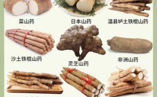 山药的功效与作用_吃山药有哪些好处