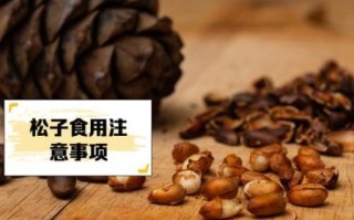 儿童吃松子有什么好处_松子对儿童的功效与作用