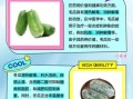 毛冬瓜的功效与作用_毛冬瓜怎么吃最好