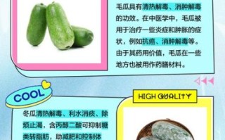 毛冬瓜的功效与作用_毛冬瓜怎么吃最好