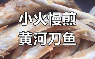 黄河刀鱼怎么做好吃_黄河刀鱼清蒸还是红烧