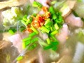 炝肉怎么做好吃_炝肉的家常做法步骤