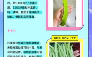 龙豆和四季豆的区别_哪个营养价值更高