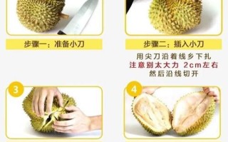 榴莲软件是什么_榴莲软件怎么用