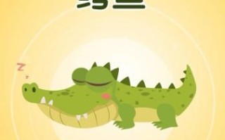 鳄鱼英语怎么说_鳄鱼英语发音怎么读