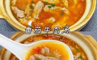 番茄牛肉汤怎么做_番茄牛肉汤的家常做法