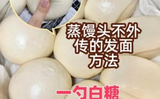 馒头怎么蒸才松软_家庭版馒头做法教程