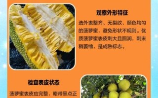 菠萝菠萝蜜进口关税是多少_如何挑选进口菠萝蜜