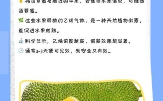 菠萝蜜一次吃太多会怎样_吃多后多久能缓解