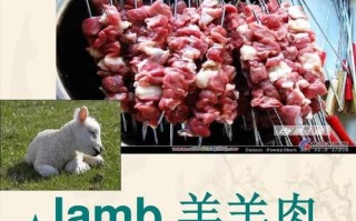 羊肉英语怎么写_mutton和lamb区别