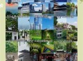 合肥十大必去景点有哪些_合肥旅游攻略必玩