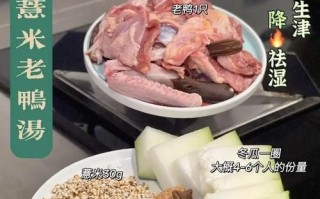 鸭子汤的做法步骤_鸭子汤用什么食材