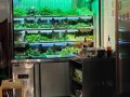 豆米火锅怎么做_家常豆米火锅底料配方