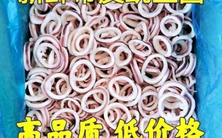 鱿鱼圈怎么切_鱿鱼圈切法图解 鱿鱼圈怎么切_鱿鱼圈切法图解