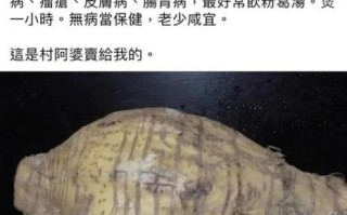 葛根粉的功效与作用及禁忌是什么_葛根粉怎么吃效果最好