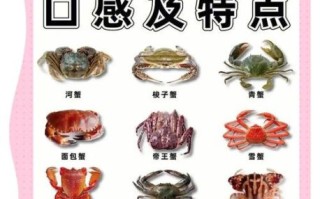 海边常见螃蟹有哪些_怎么区分