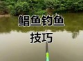 鲳鱼钩法图解_海钓鲳鱼用什么钩型