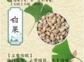 白果的功效与作用及保存方法_白果怎么保存才不发霉
