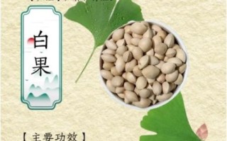 白果的功效与作用及保存方法_白果怎么保存才不发霉