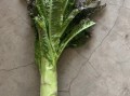 香莴笋的功效与作用_香莴笋怎么吃最营养