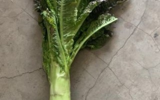 香莴笋的功效与作用_香莴笋怎么吃最营养