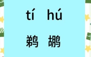 鹈鹕怎么读_鹈鹕发音是什么