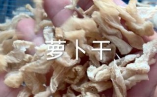 腌萝卜干怎么做_萝卜干怎么保存不霉变