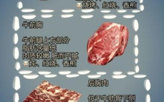 西冷牛排怎么做才嫩_西冷牛排和菲力区别
