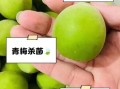 青梅的功效与作用_青梅怎么吃效果最好