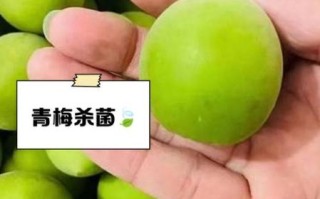 青梅的功效与作用_青梅怎么吃效果最好