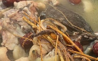 野生甲鱼汤怎么炖才没腥味_野生甲鱼汤做法大全