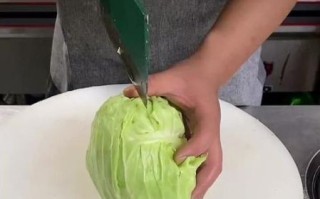 包菜怎么切丝_包菜怎么切好吃