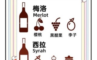 葡萄酒的品种有哪些_葡萄酒品种大全