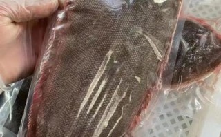 龙利鱼批发价格多少钱一斤_龙利鱼批发哪里最便宜