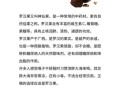 罗汉果糖尿病人能泡水喝吗_罗汉果泡水禁忌