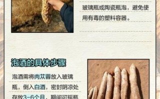 肉苁蓉泡酒配方比例_肉苁蓉泡酒多久能喝