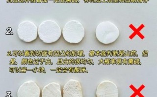 淮山跟什么薯最像_怎么区分真假淮山