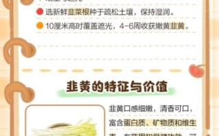 韭黄和韭菜有什么区别_哪个更有营养