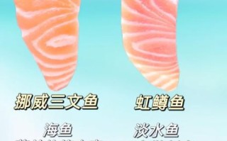 虹鳟鱼和三文鱼哪个贵_价格差多少
